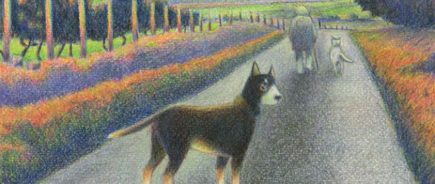 Gast - A Triumphant Return for the Unique Talent of Carol Swain ...